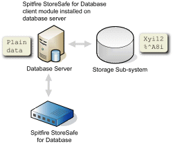 Which Bloombase Product Is Good For You - Bloombase StoreSafe ...